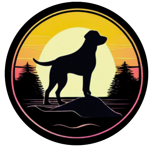 Mercedes' Andrea Kimi Antonelli grabs Formula 1 checklist and fastest ...